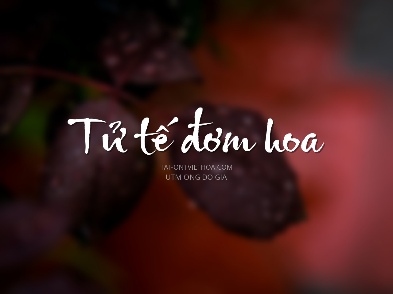 Font việt hóa UTM Ông Đồ Già tải miễn phí | Tải Font Việt Hóa